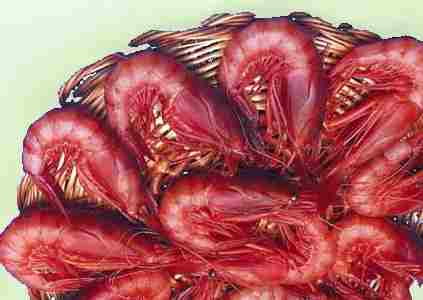 Mariscos, crustáceos. PESCADOS Y MARISCOS. Todo sobre la cocina (Mundo ...